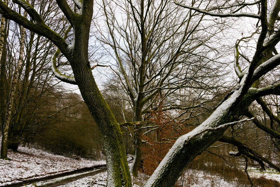 familiar environment part one: Daisbach - taumelland.de